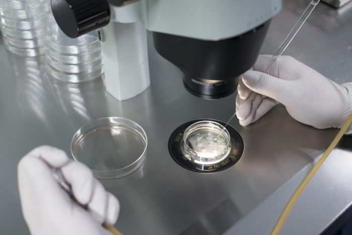 Vitrification of Oocytes - IVI UK