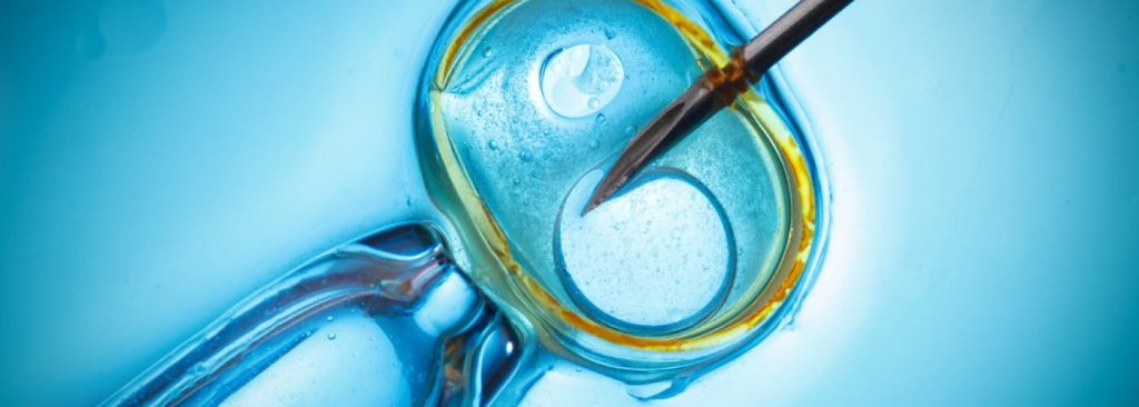 How to get rid of fluid in uterus ivf: symptoms and causes